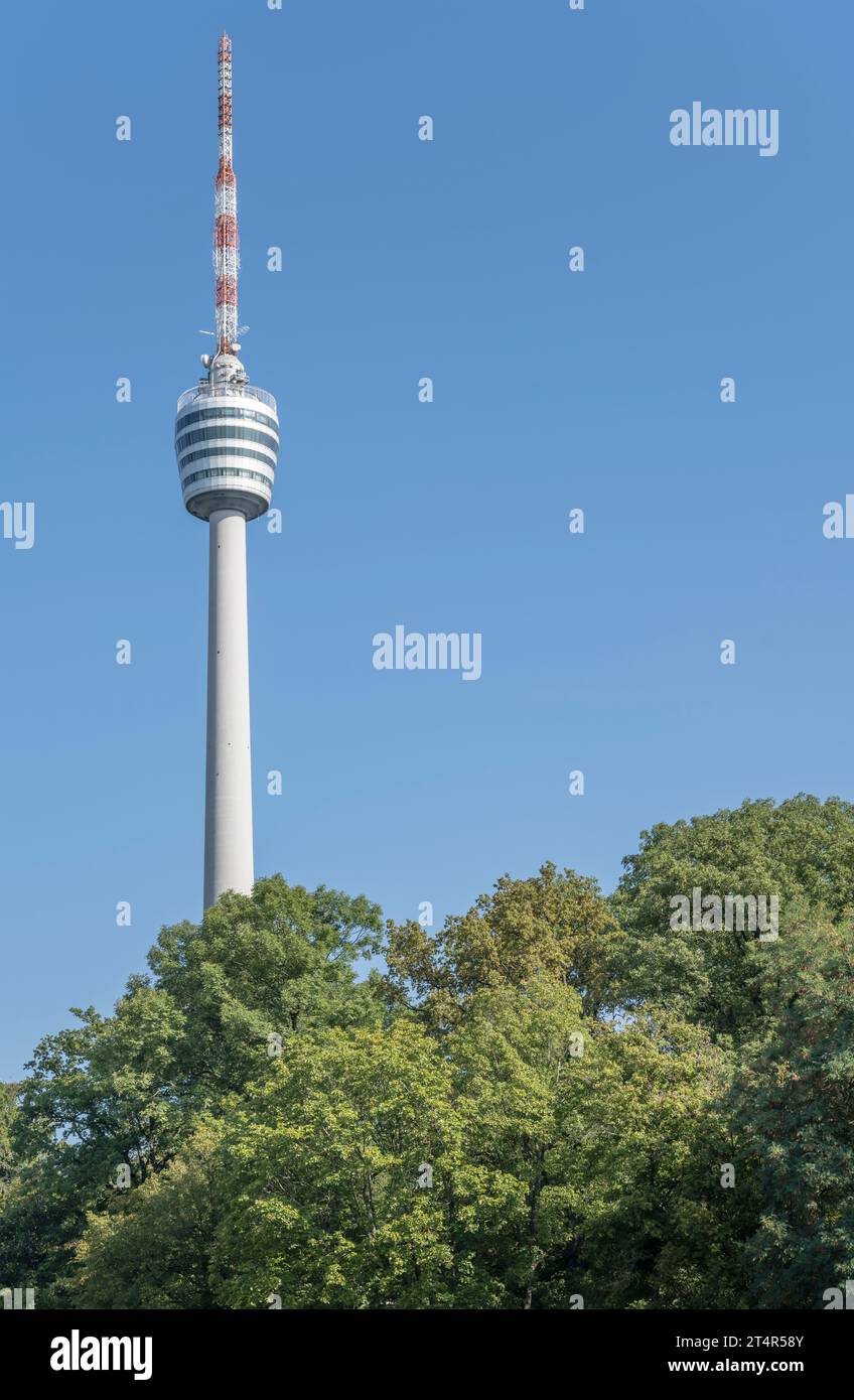 cityscape with tall TV-tower looming out of wood, shot in bright summer light at Stuttgart ...