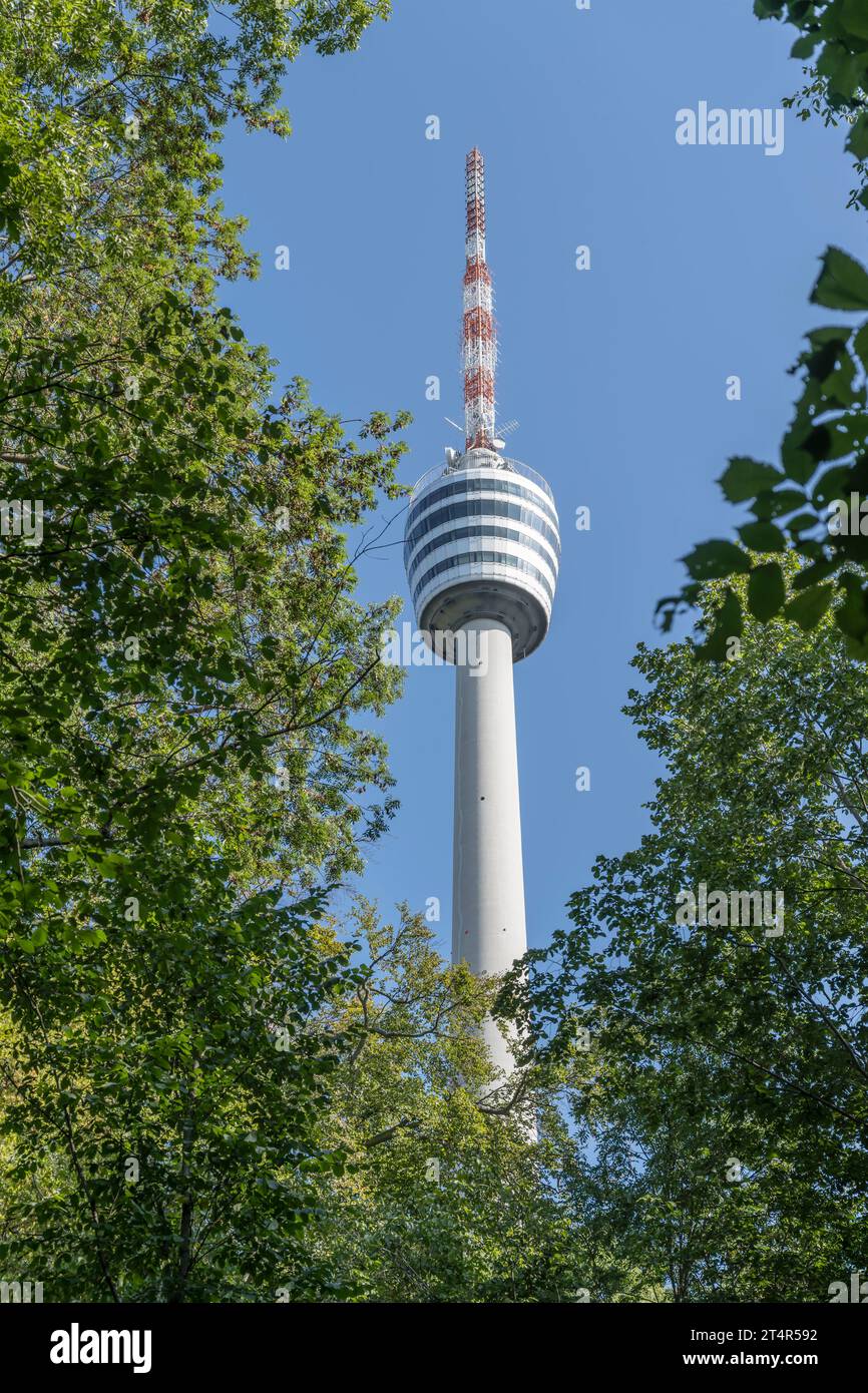 cityscape with tall TV-tower summit looming out of wood foliage, shot in bright summer light at ...