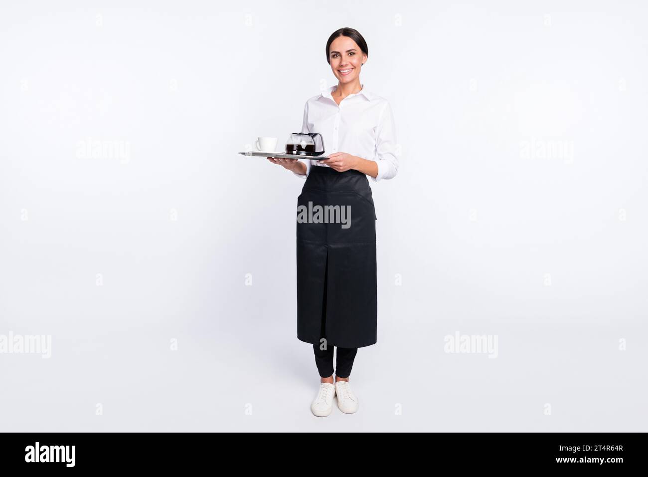 Full length body size photo of cheerful waitress serving client with ...