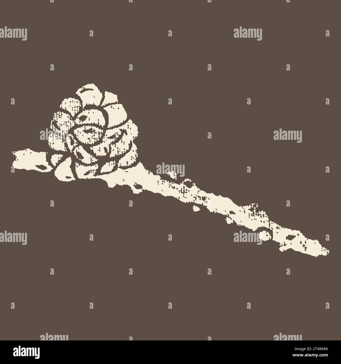 Larch elements for design. Larix decidua branch, cone. Hand drawn ...