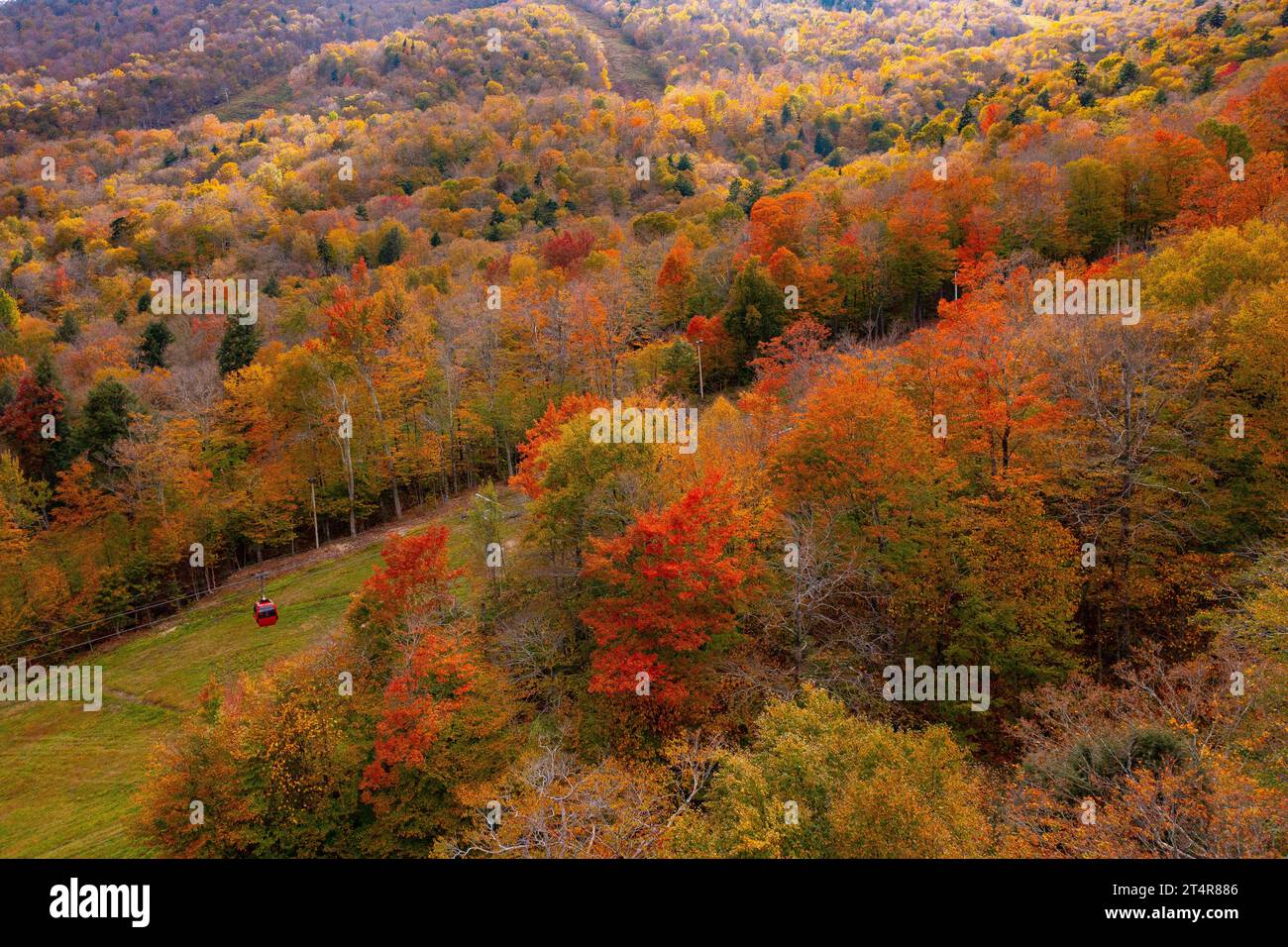 Fall foliage in Stowe, Vermont Stock Photo - Alamy