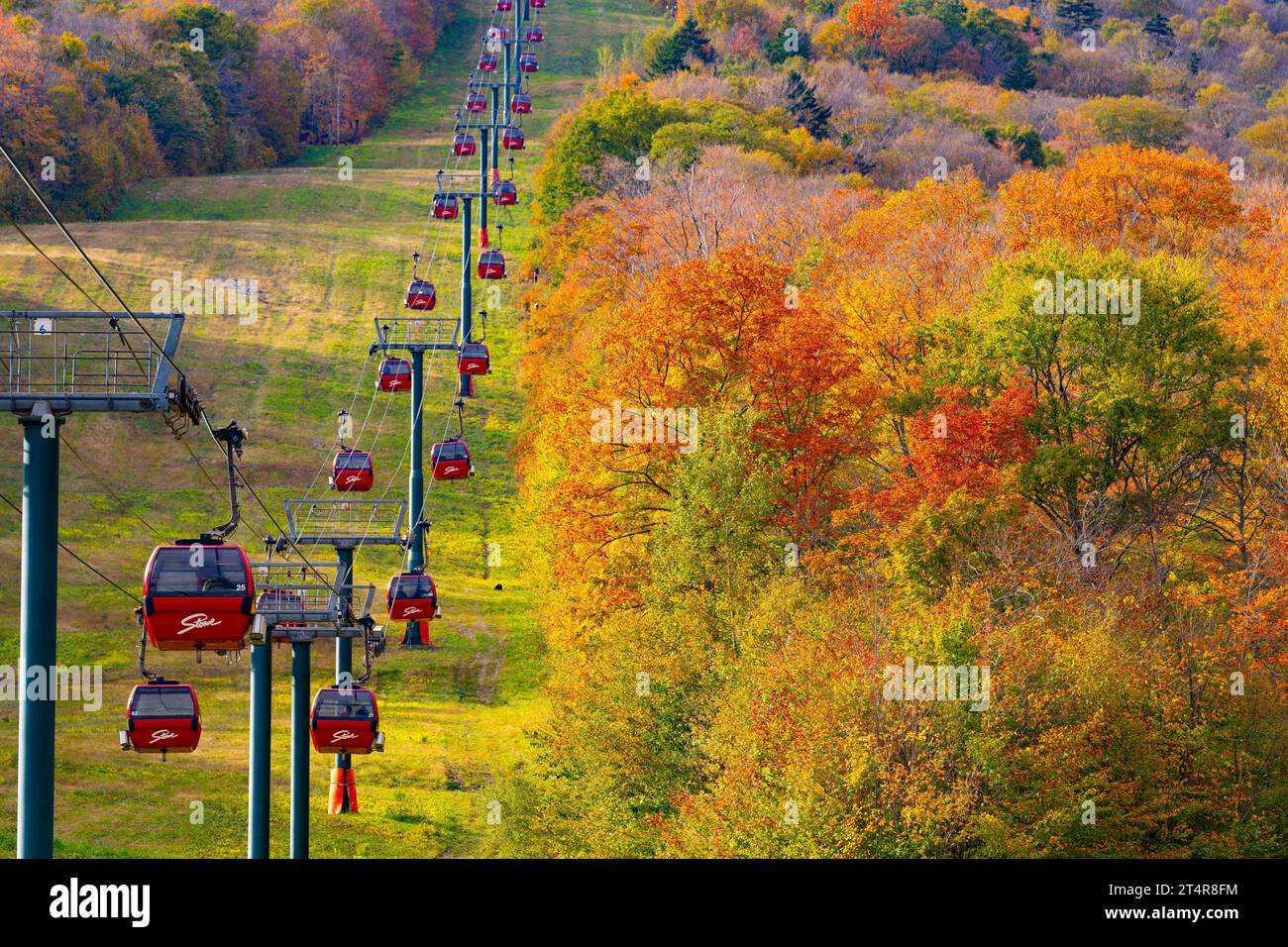 Fall foliage in Stowe, Vermont Stock Photo - Alamy