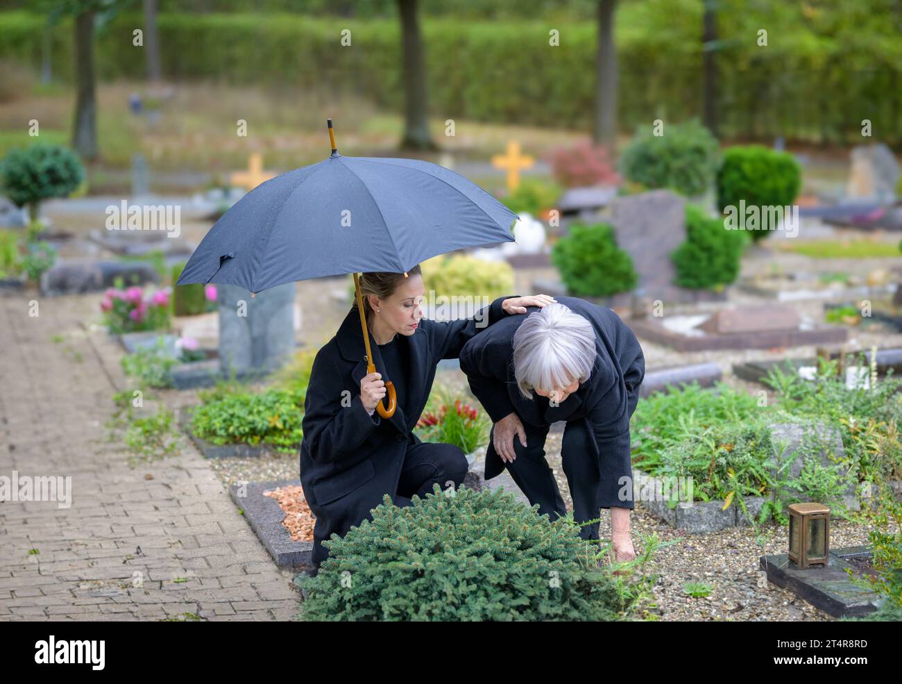 Daughter hugging her mother at the man's grave in the cemetery on a ...