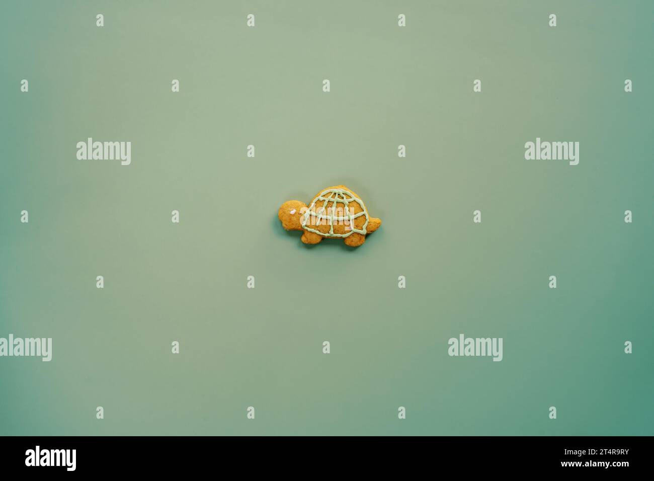 Turtle cookie hi-res stock photography and images - Alamy