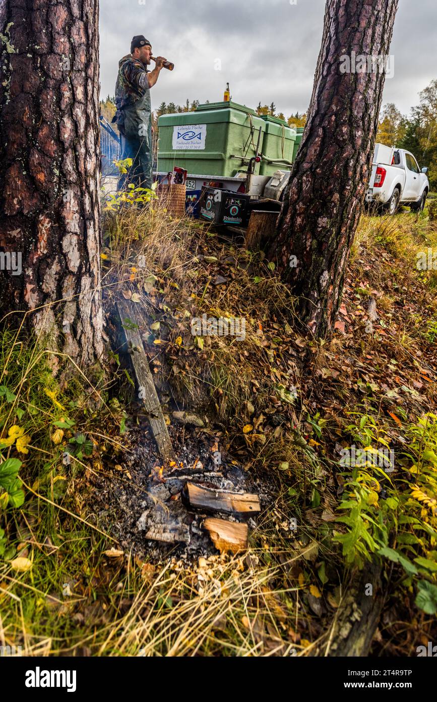 Car out pond hi-res stock photography and images - Alamy