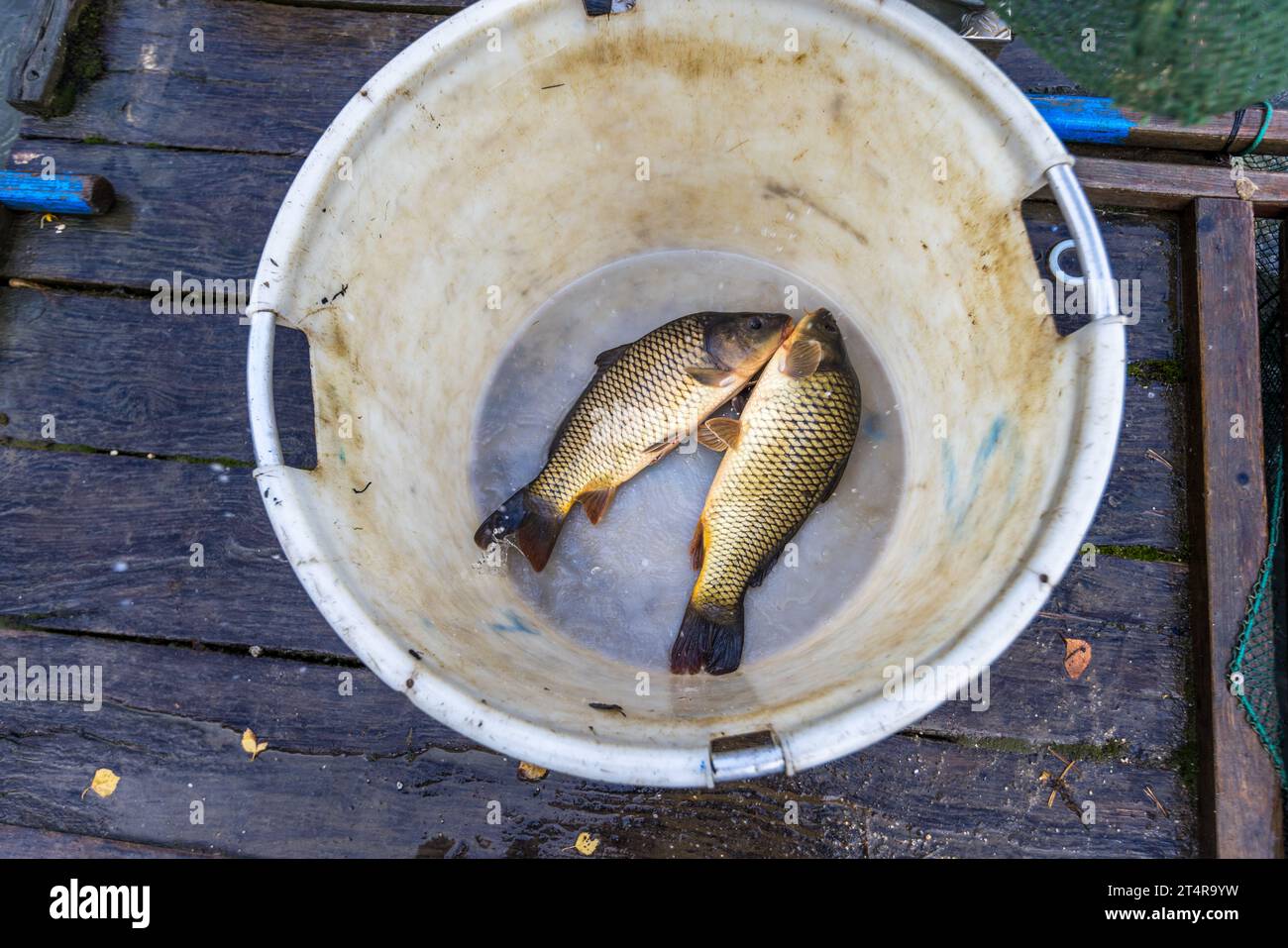 Removing the past hi-res stock photography and images - Alamy