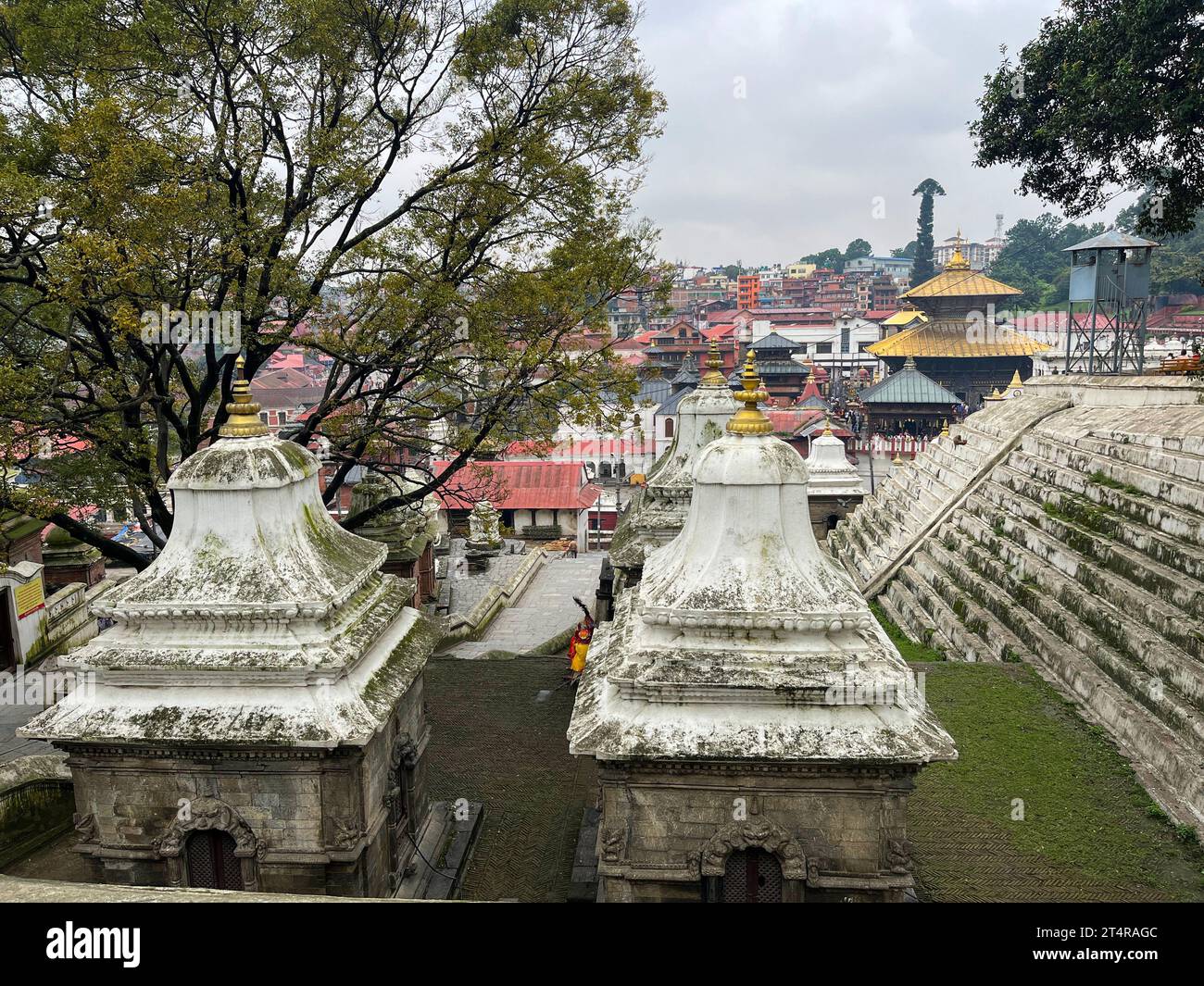 Kathmandu, Nepal: view of Pashupatinath Temple, famous Hindu temple ...