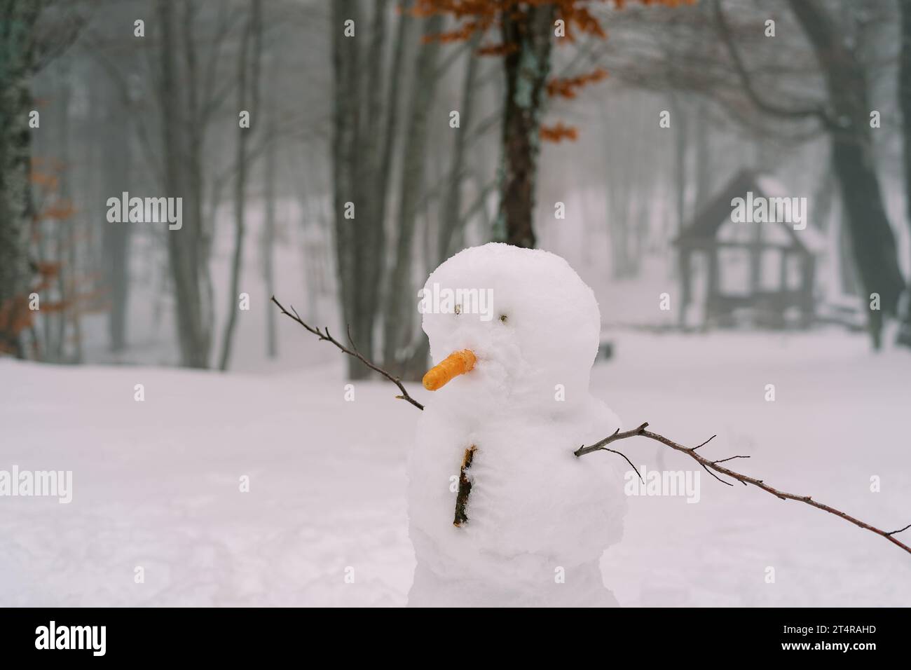 Snowman tree hands hi-res stock photography and images - Alamy