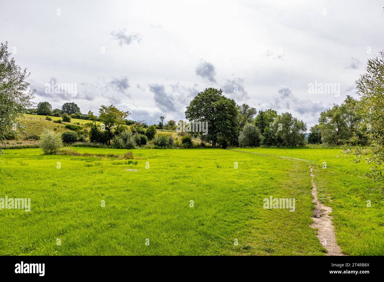 Rural Dutch plain landscape with a hiking trail between green grass ...