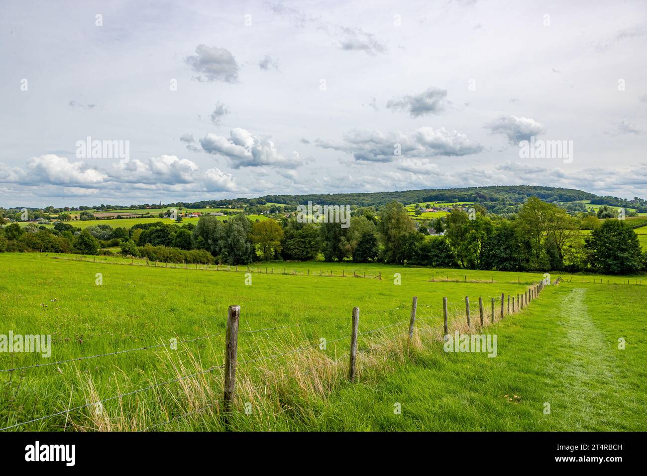 Dutch agricultural landscape with grassland, wooden post and wire ...