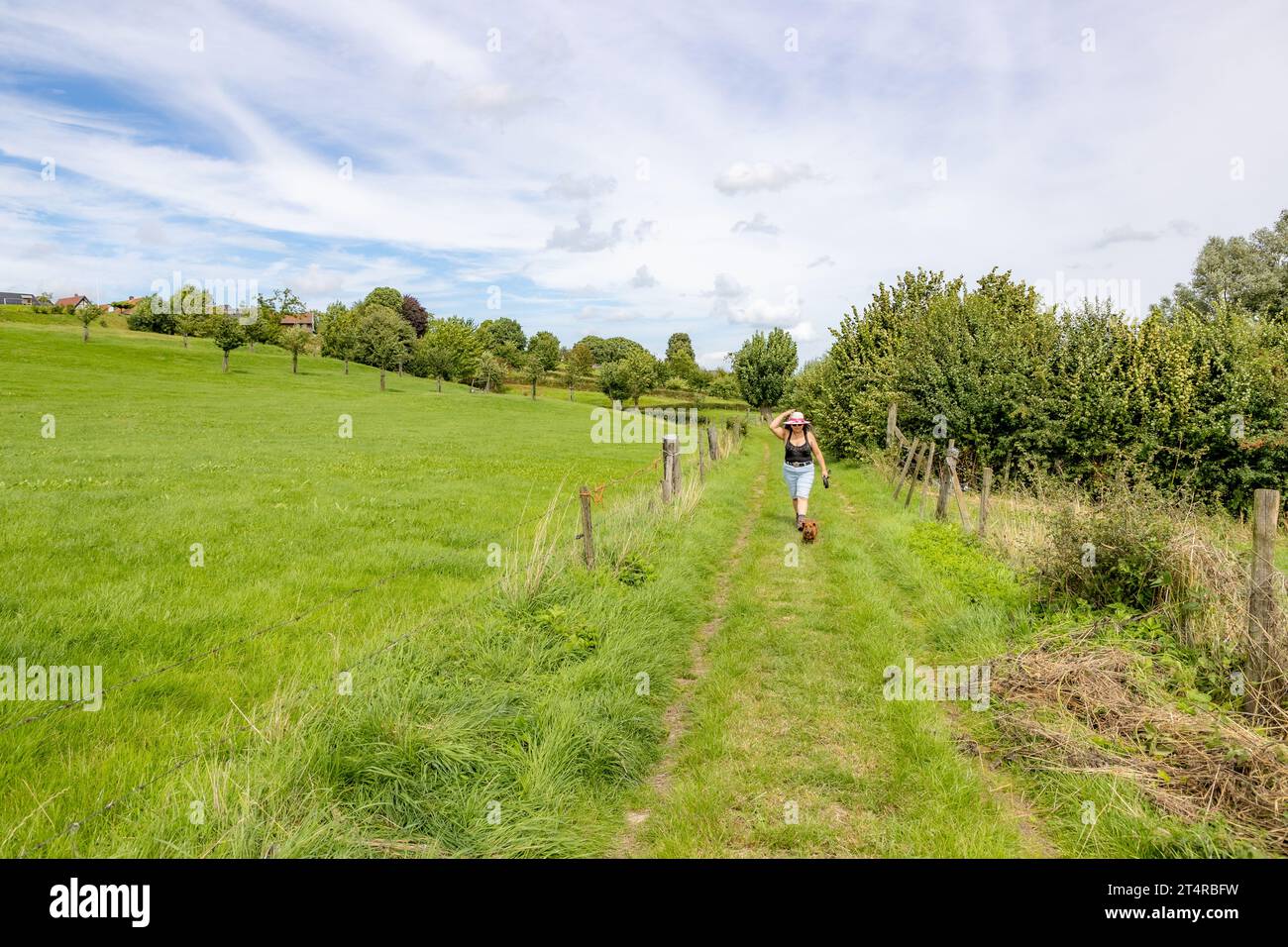 Hiking trail between farm agricultural plots, adult hiker in summer ...