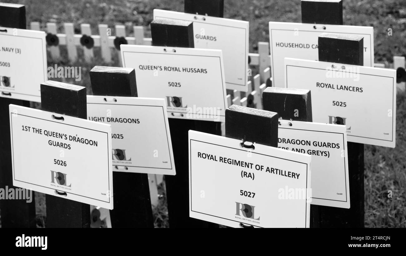 Cardiff Castle field of remembrance marks loss of life in world wars ...