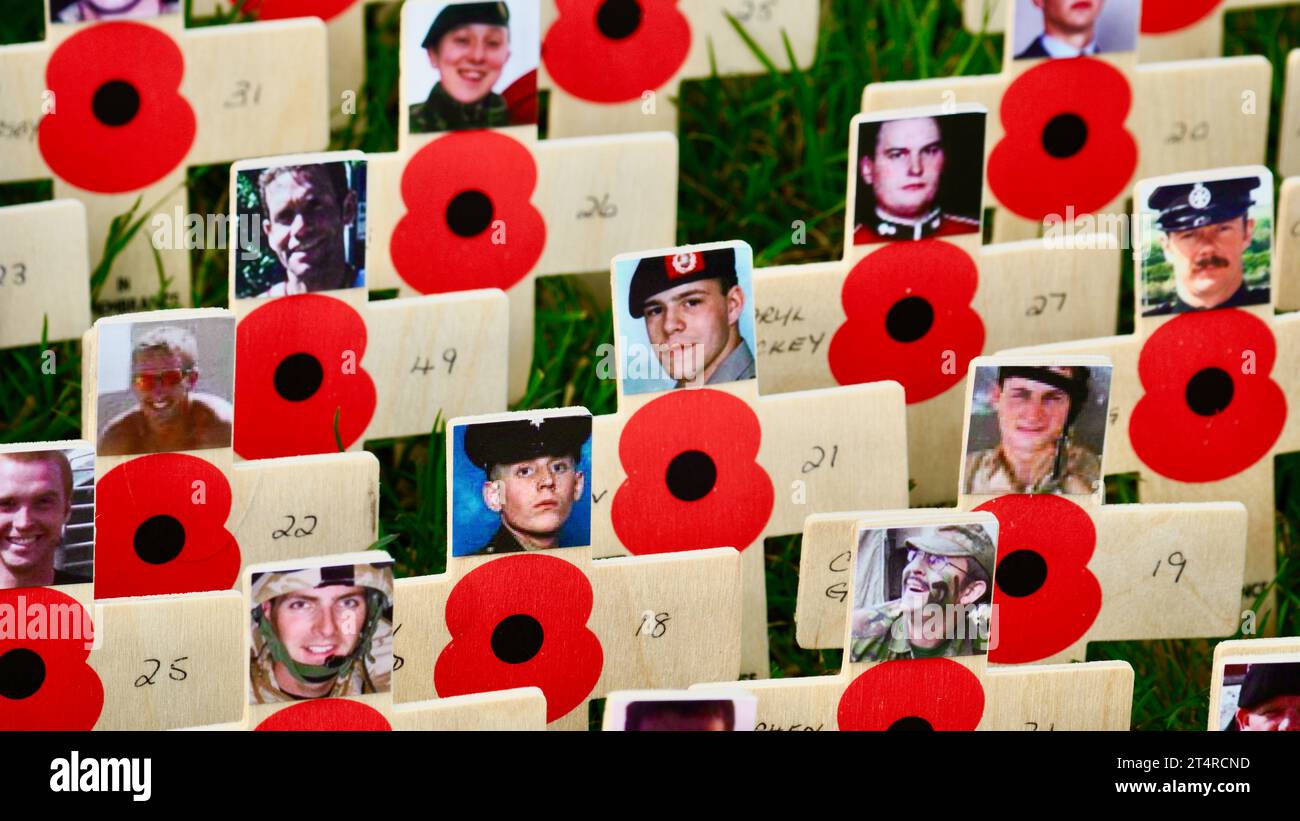 Cardiff Castle field of remembrance marks loss of life in world wars ...