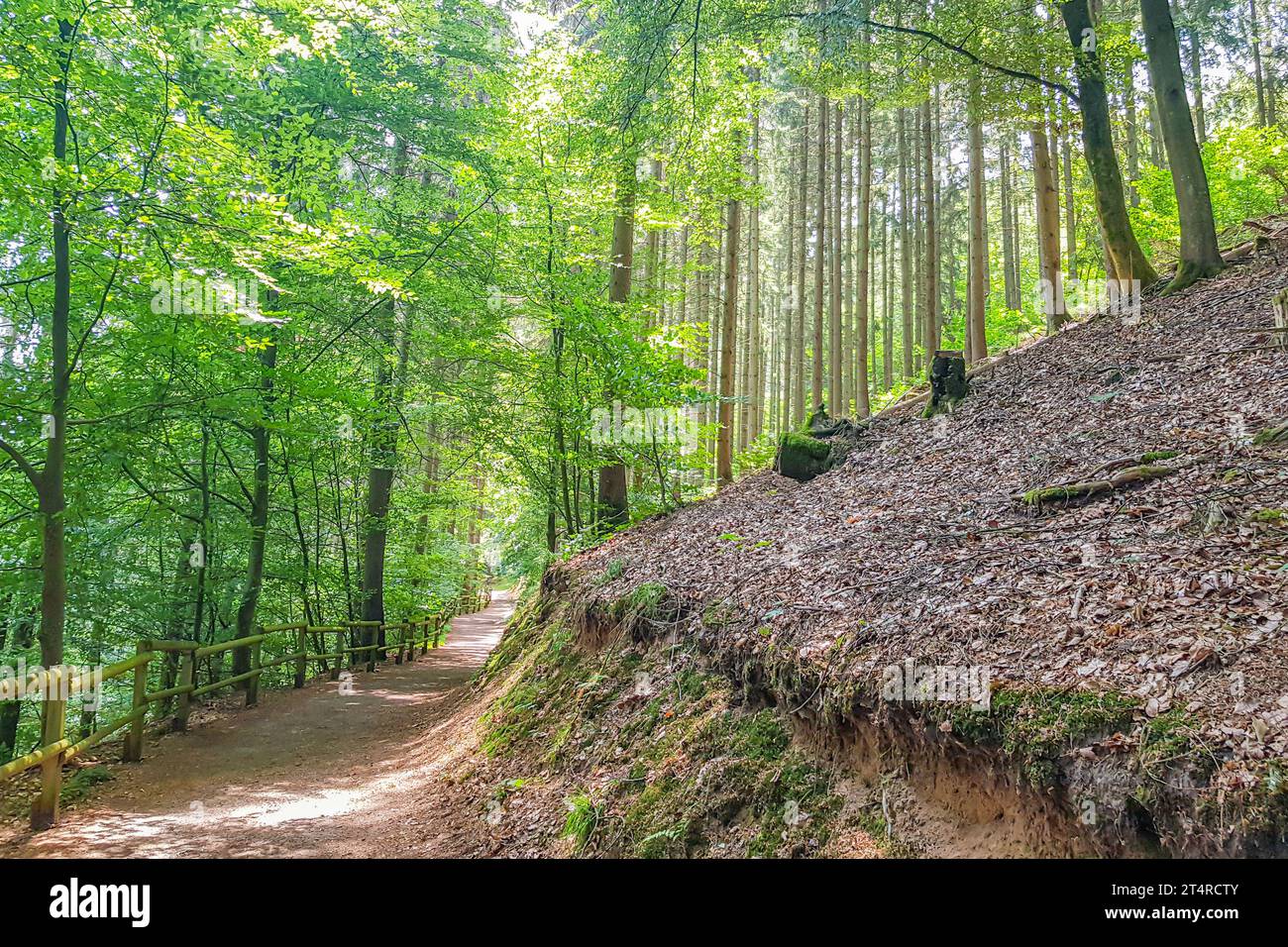 Mountain slope with a hiking trail fading into background, next to ...
