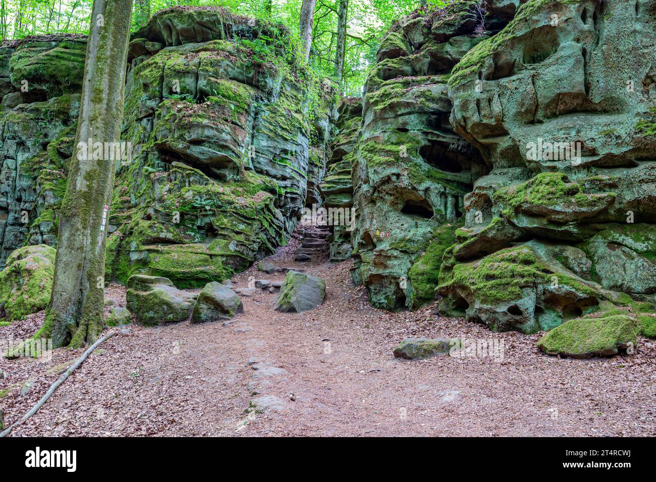 Narrow furrow between two massive mossy rock formation in ...