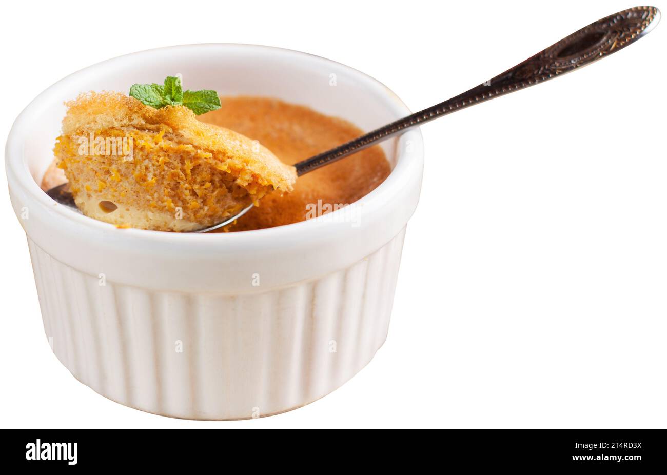 Butternut squash in fall Cut Out Stock Images & Pictures - Alamy