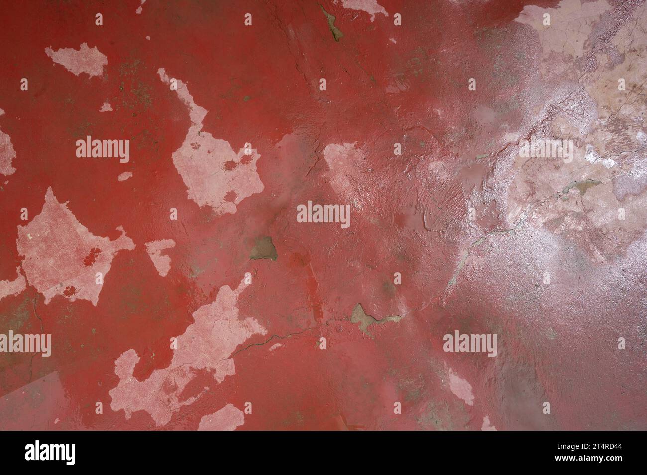 Wet red concrete floor with crack lines after rain Stock Photo - Alamy