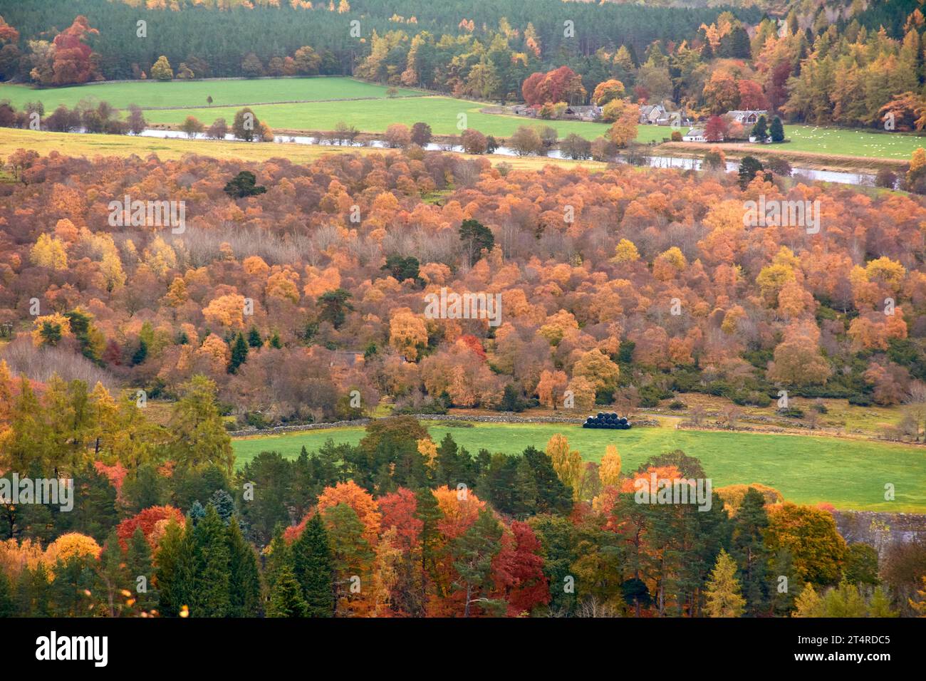 Balmoral Estates Crathie Scotland autumnal view looking down the Dee ...