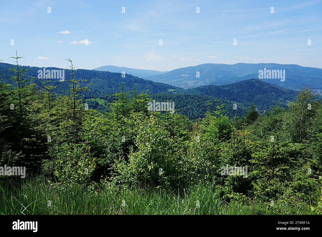 Beautiful Little Beskids near European Bielsko-Biala city at Silesian ...