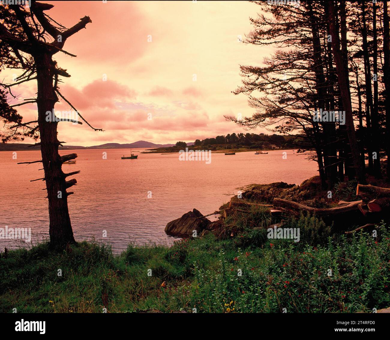 View to dunmanus bay hi-res stock photography and images - Alamy
