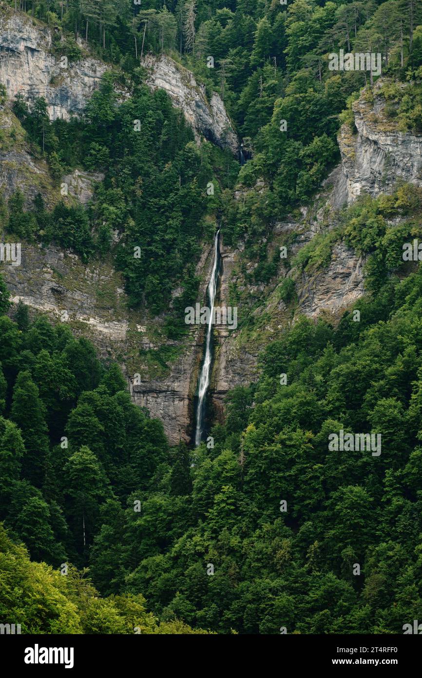 Skakavac Waterfall and Perucica Primeval Rainforest in Sutjeska ...