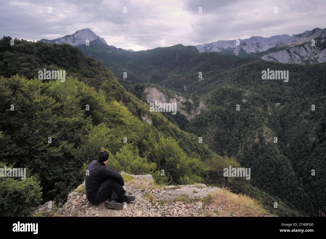 Perucica nature reserve hi-res stock photography and images - Alamy
