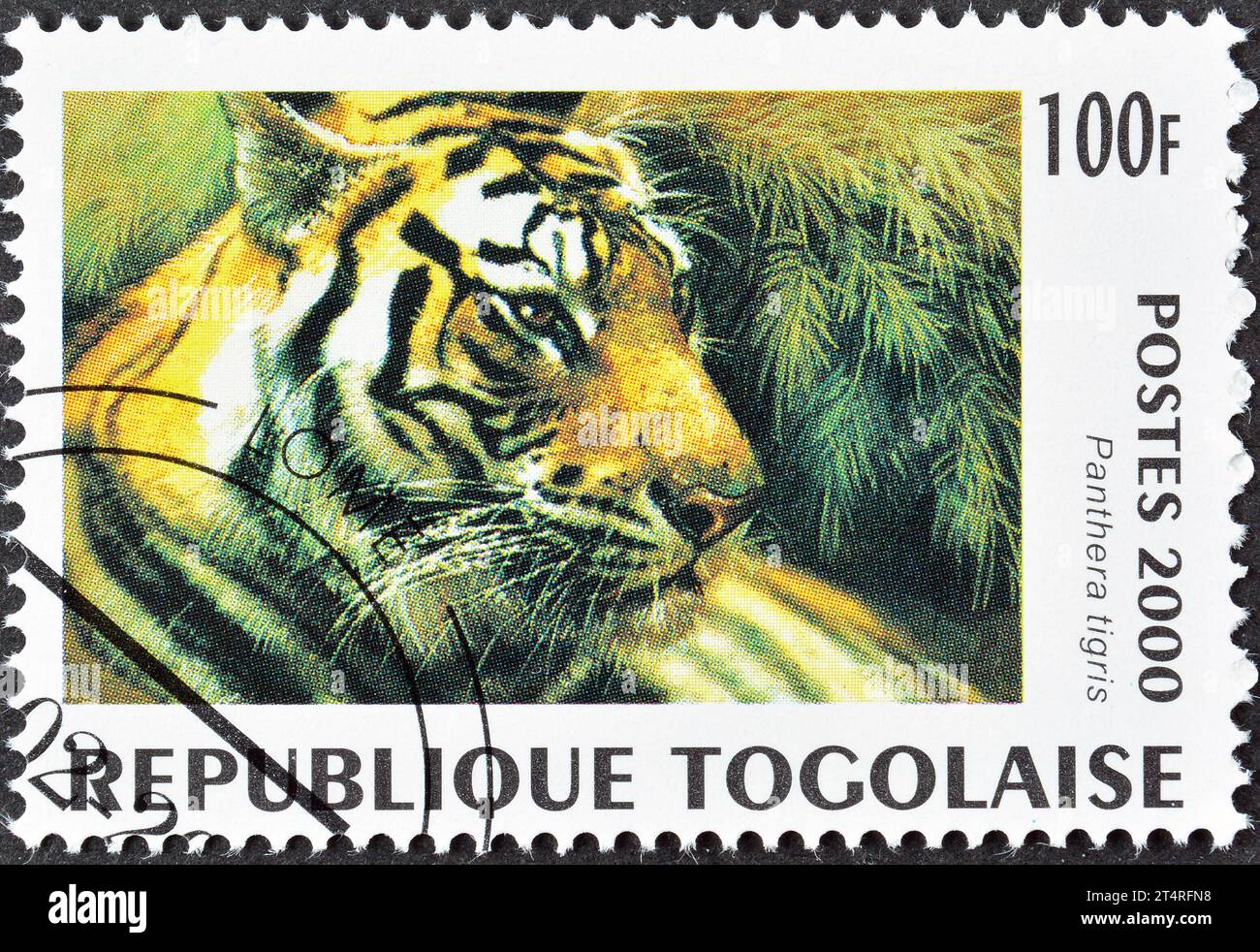 Cancelled postage stamp printed by Togo, that shows Tiger (Panthera ...