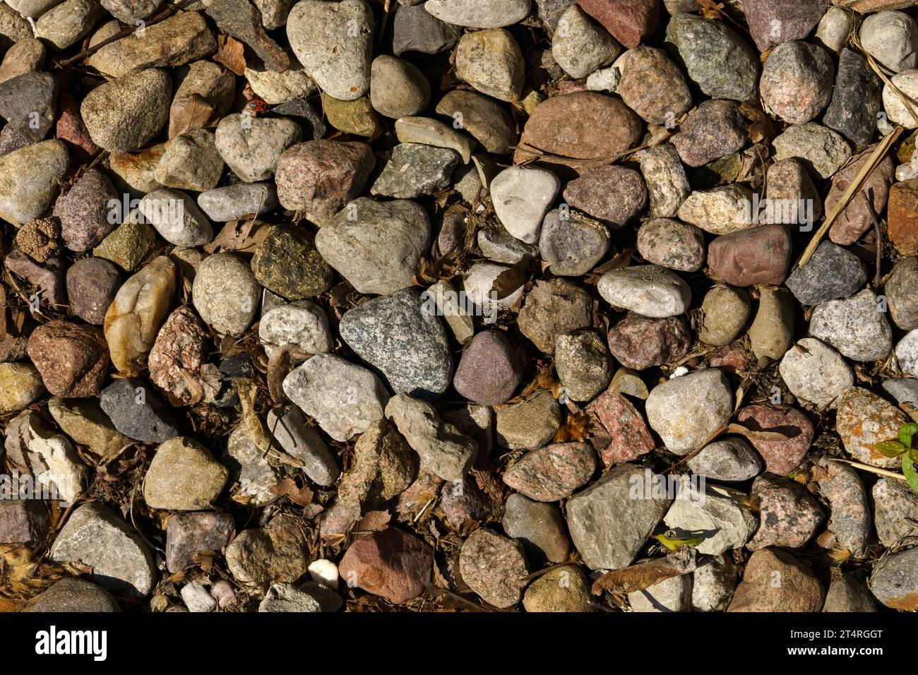Texture of a stone street path with withered leaves. Stone texture ...