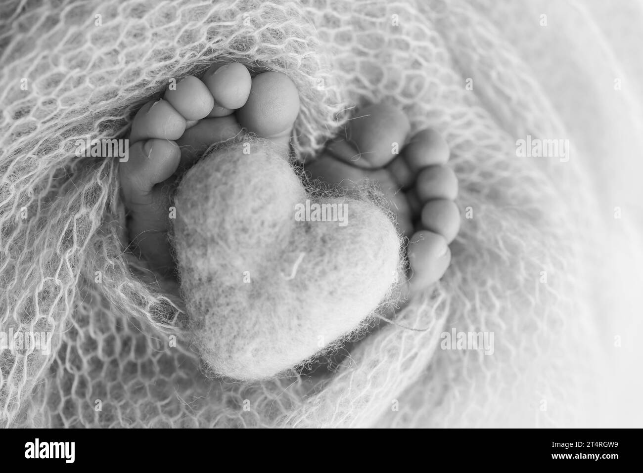 The tiny foot of a newborn baby. Knitted heart in the legs of baby ...