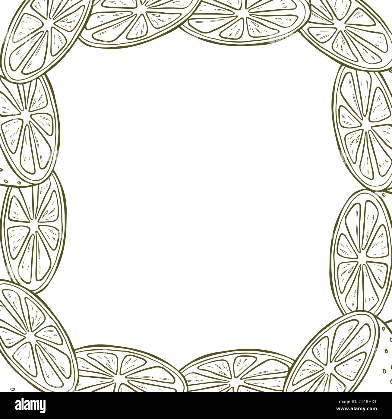 A border of lemon slices. A composition of citrus fruits in a graphic ...