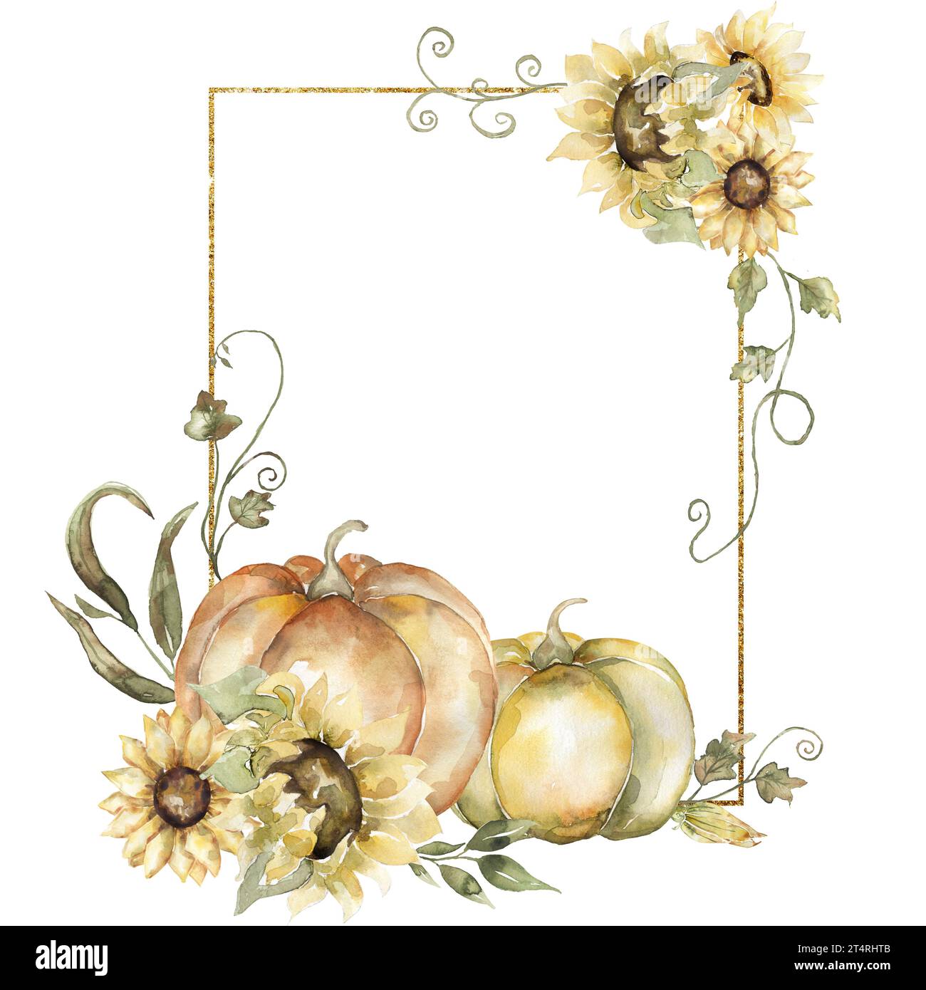 Watercolor pumpkin and sunflowers frame clipart. Autumn florals border ...