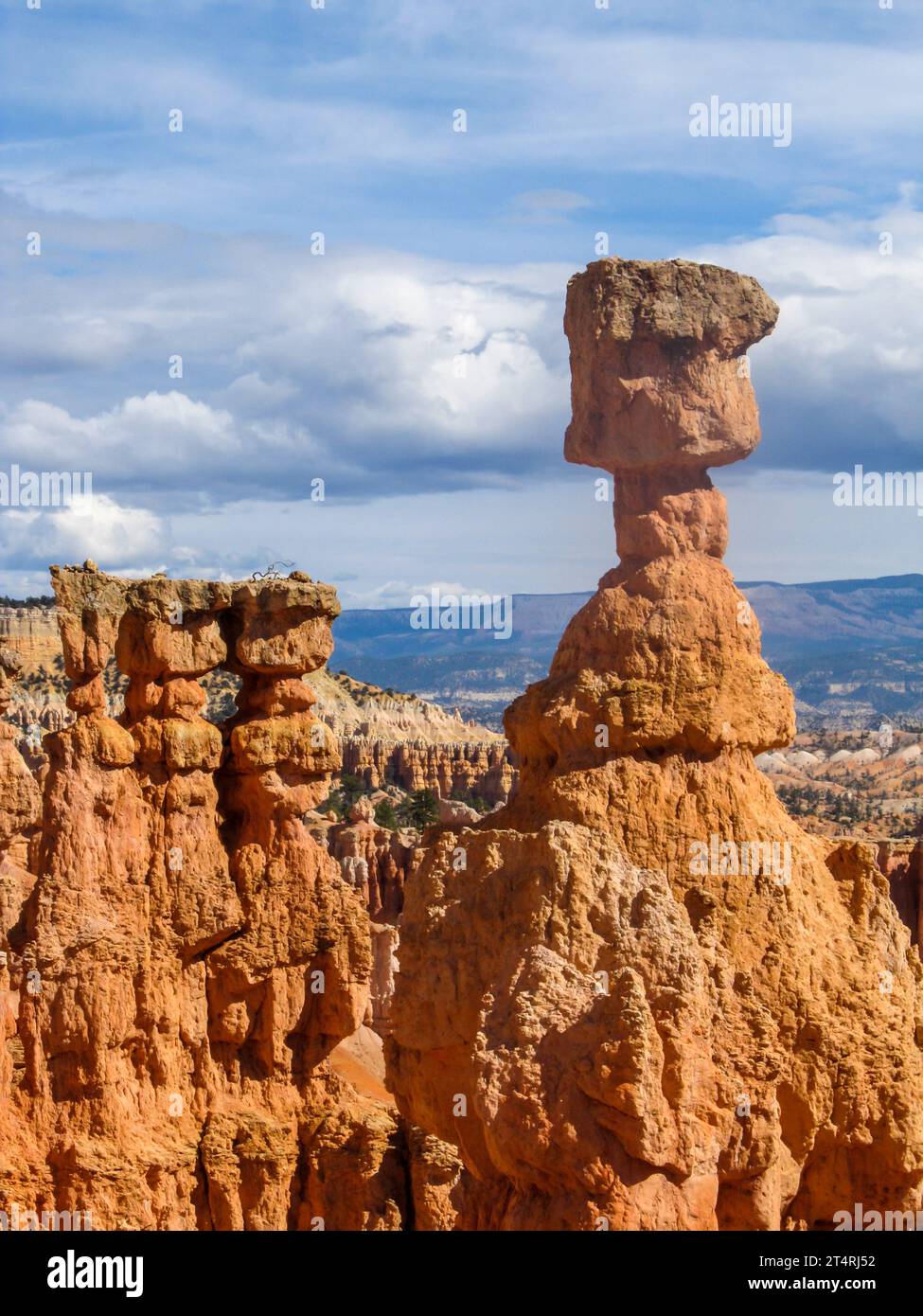 A large Hoodoo known as Thor’s hammer in Bryce Canyon National Park ...
