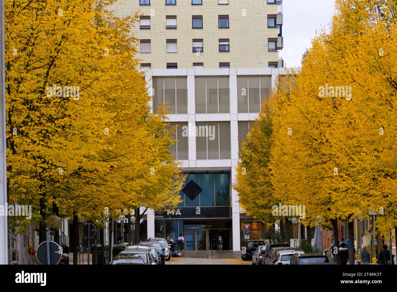 Avenue with yellow trees ands at a mall Stock Photo - Alamy