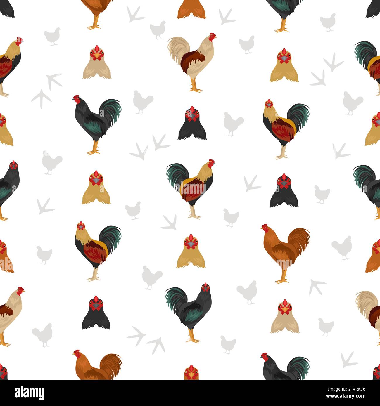 American Game Chicken breeds seamless pattern. Poultry and farm animals ...