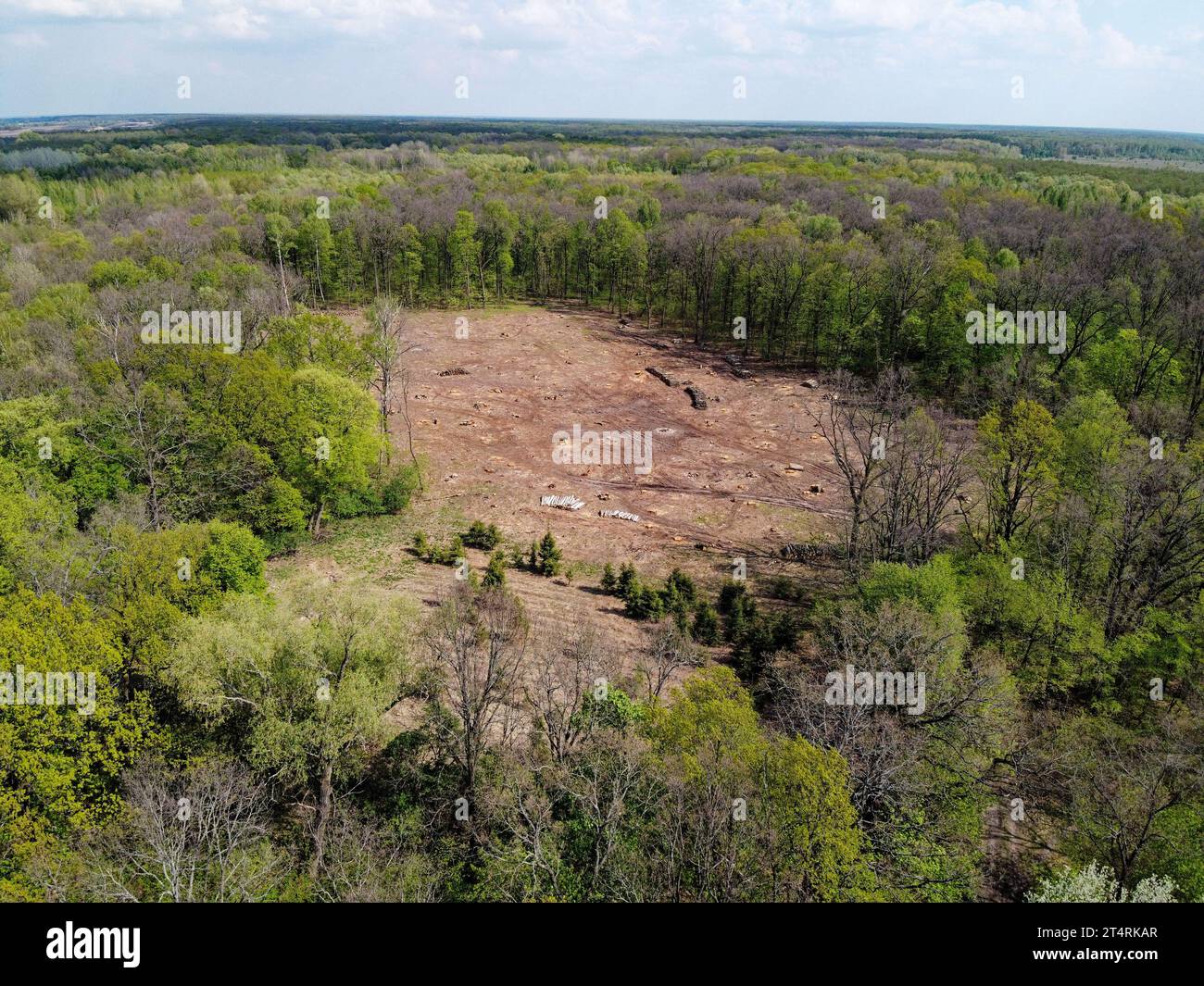 A place of felling, aerial view. Devastated land, clearing Stock Photo ...