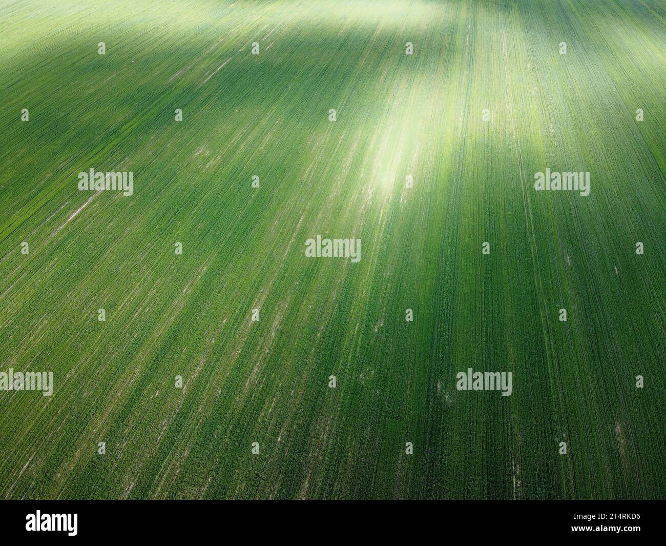 Aerial copter shot green field hi-res stock photography and images - Alamy