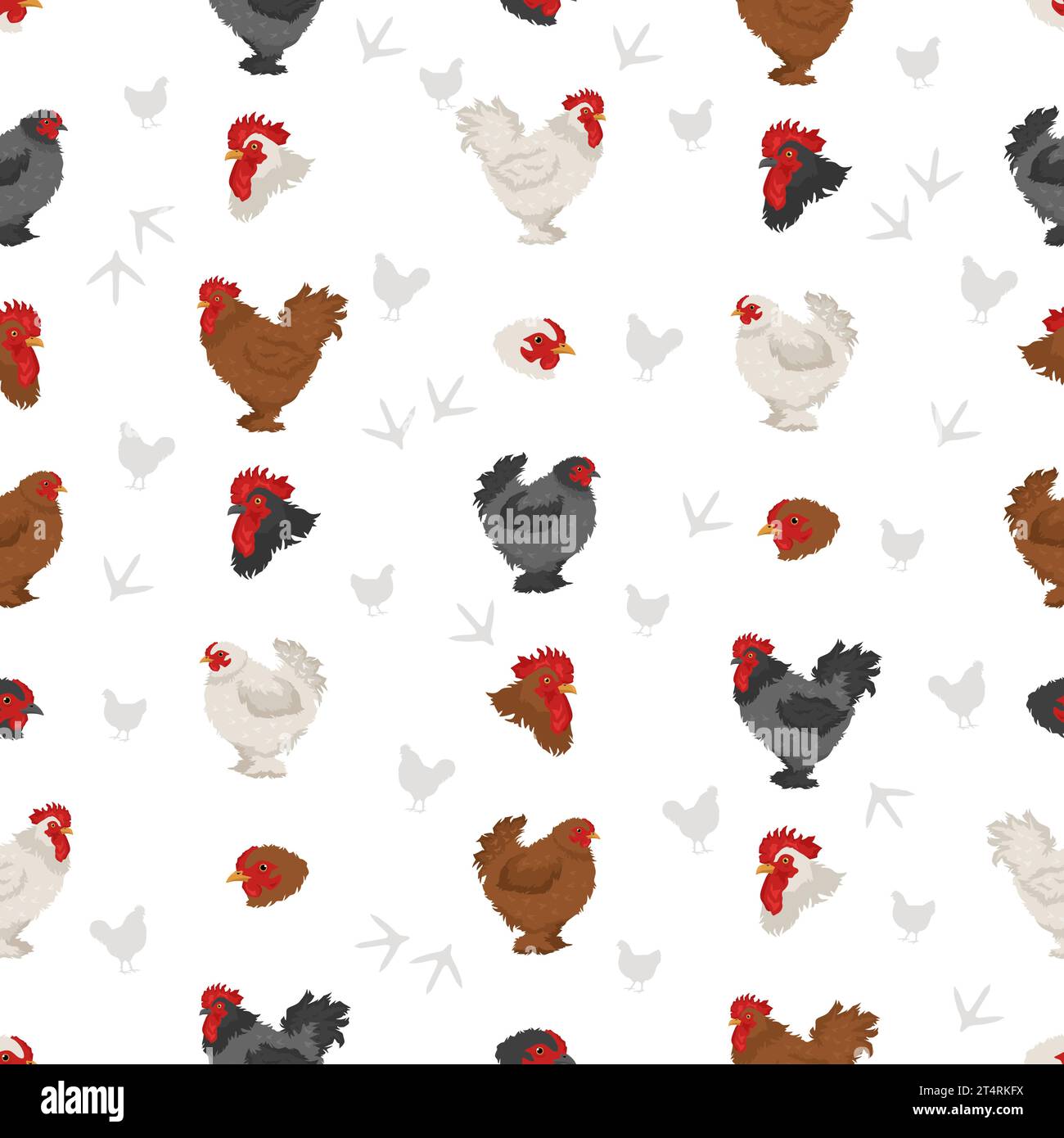 Frizzle Chicken breeds seamless pattern. Poultry and farm animals ...