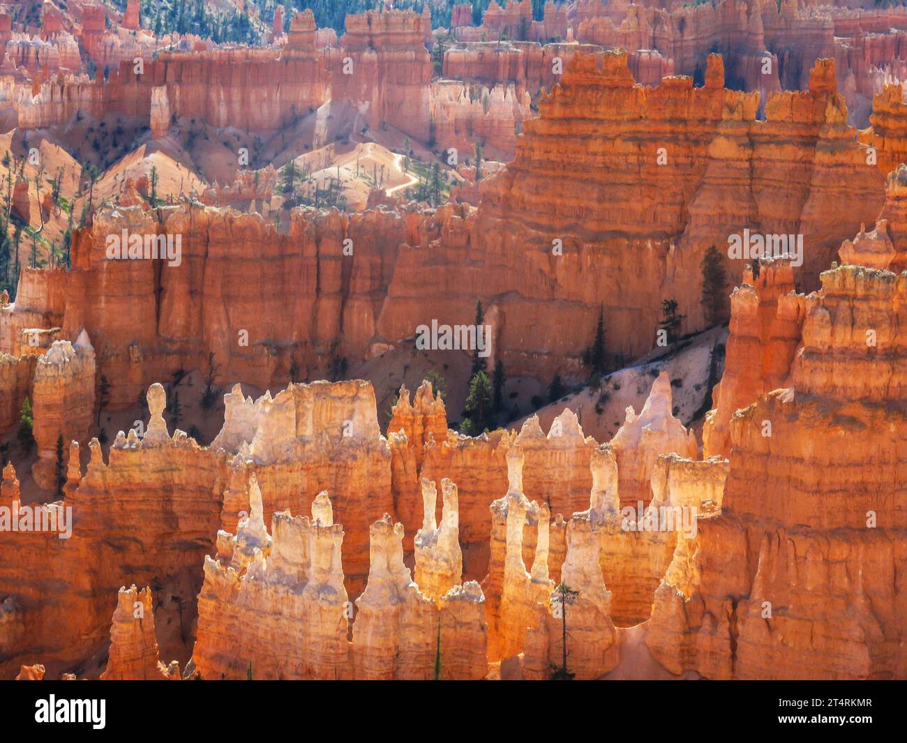 The magical and mysterious spires, pinnacles and hoodoos of Bryce ...