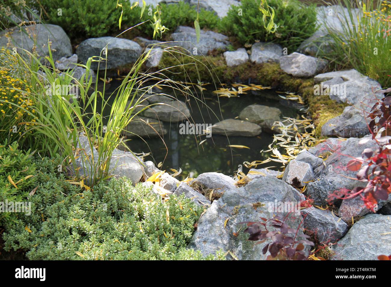 Water feature garden pebbles hi-res stock photography and images - Alamy