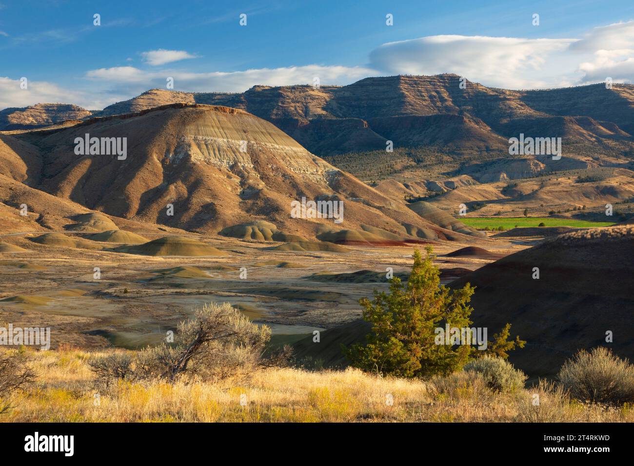 Carroll Rim from Painted Hills Overlook Trail, John Day Fossil Beds ...