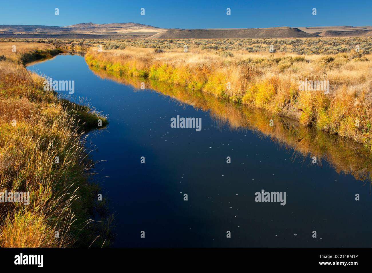 Donner und Blitzen River, Malheur National Wildlife Refuge, Oregon ...