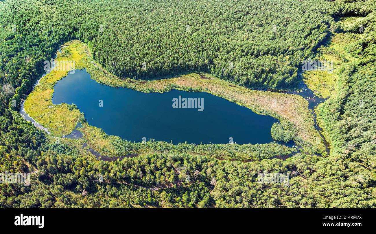 Aerial view of a lake in the forests of Lithuania, wild nature. The ...