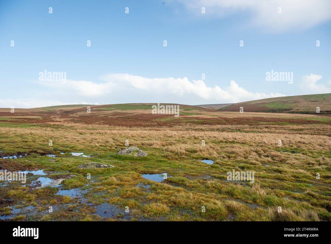 Waaterlogged hi-res stock photography and images - Alamy