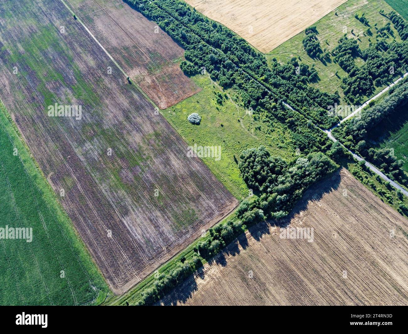 Crossroads of two roads among farm fields, aerial view. Agrarian ...