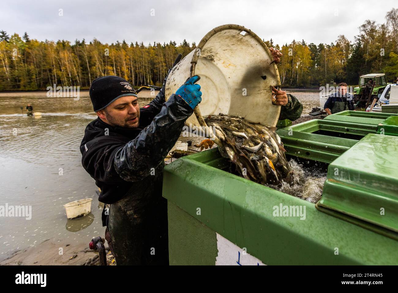 Different personal protective equipment hi-res stock photography and ...