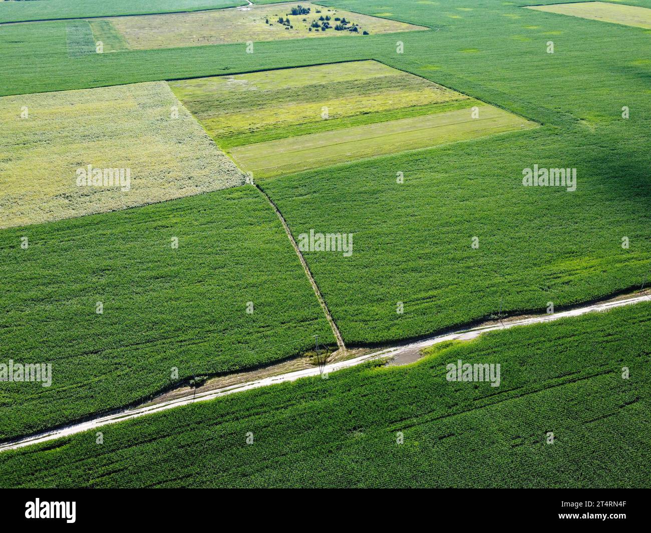 Farmfields from a bird's eye view. Crops of corn, landscape Stock Photo ...