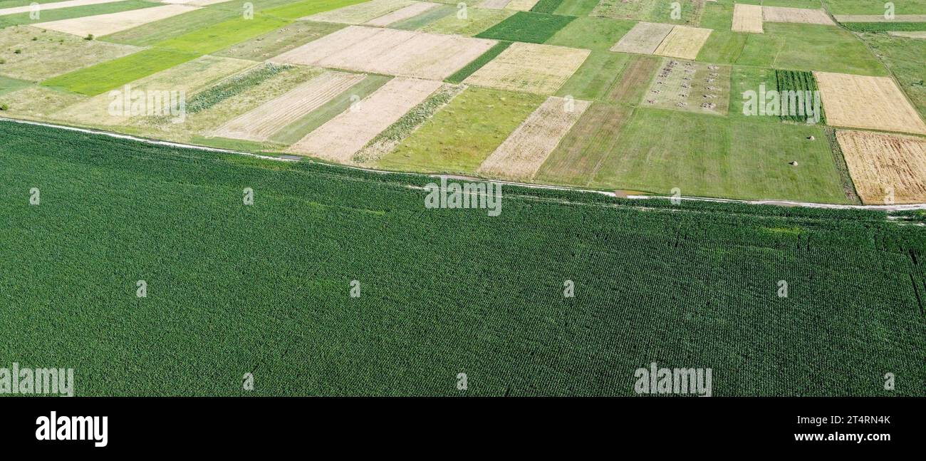 Farmfields from a bird's eye view. Crops of corn, landscape Stock Photo ...
