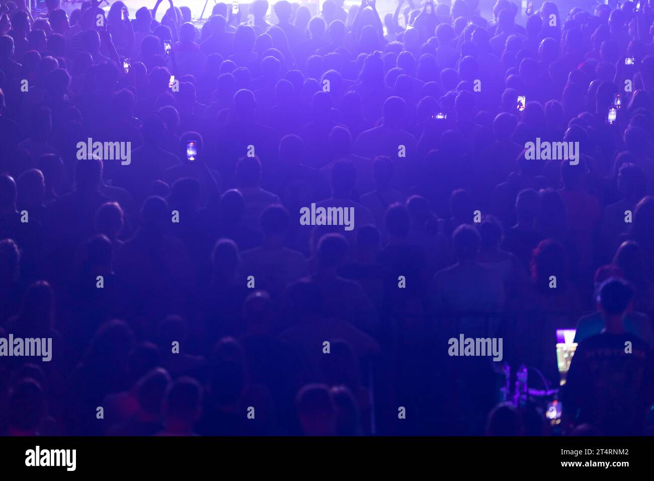 A crowd of people on concert in blue light at a concert Stock Photo - Alamy