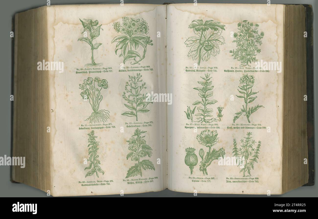 Botanical textbook. An aged biology book with its pages on display ...