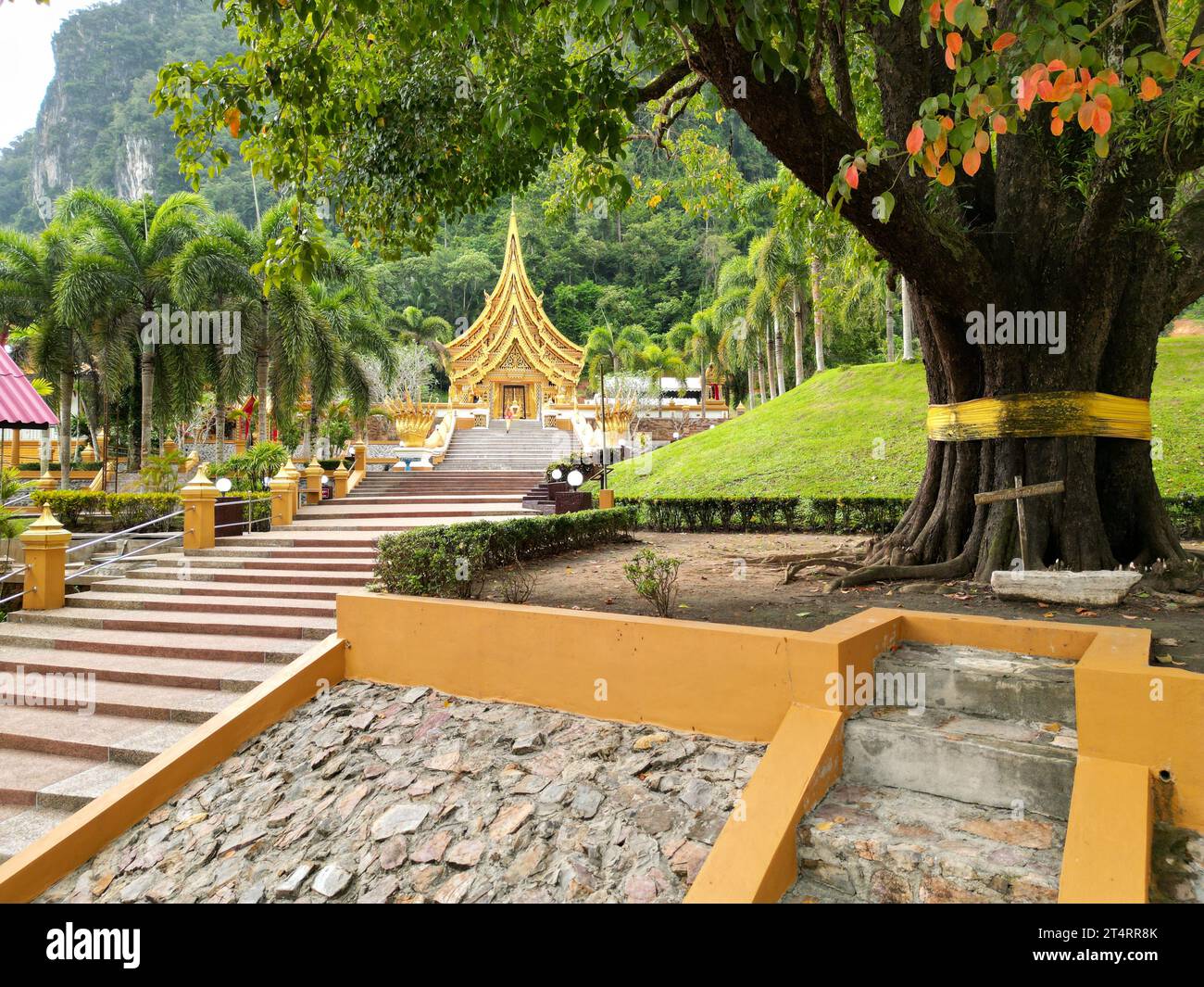 Beautiful golden buddhist jungle temple Stock Photo - Alamy